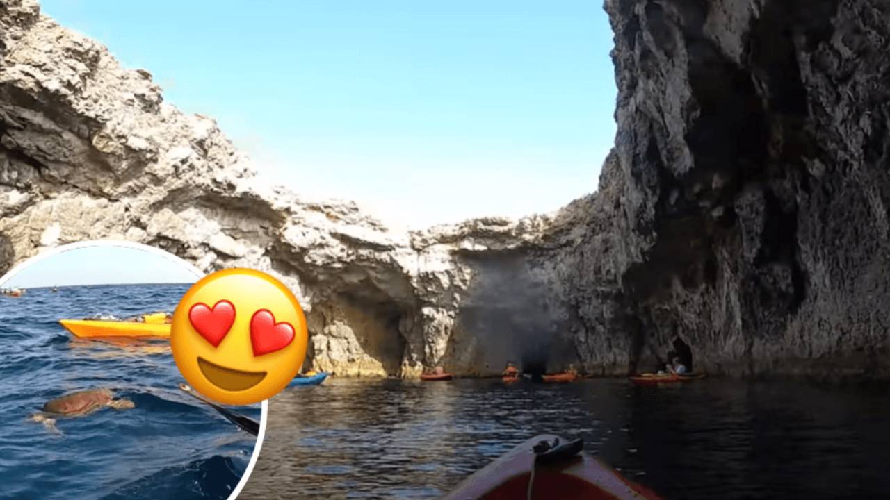 WATCH: Local Kayaker encounters loggerhead turtle while exploring Slugs ...