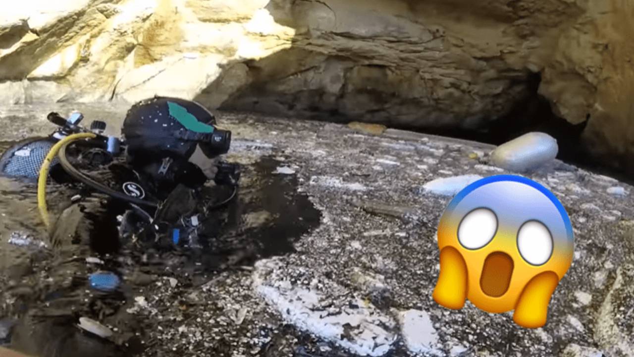 Take action! Diver finds shocking amounts of Jablo littering Malta’s seas