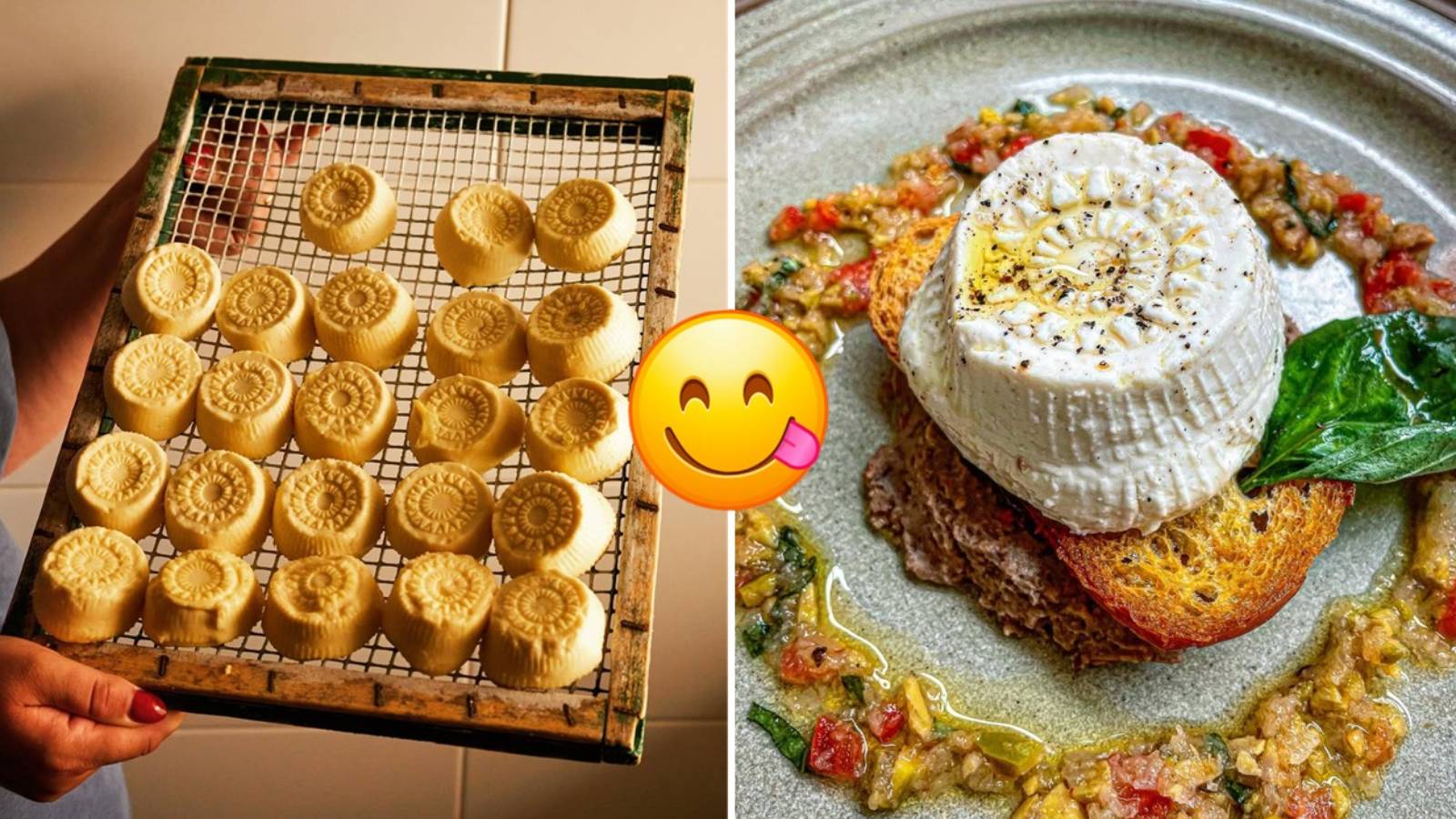 Say cheese! Gozo’s ġbejna named one of the world’s top 50 goat cheeses ...