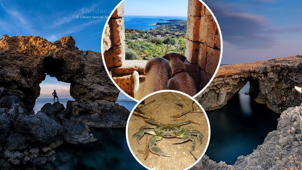 8 photos that show #THISISWHY we need to safeguard our local environment