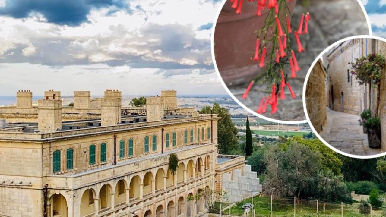 Way to go Mtarfa! Small town local council leads the way with brilliant ...