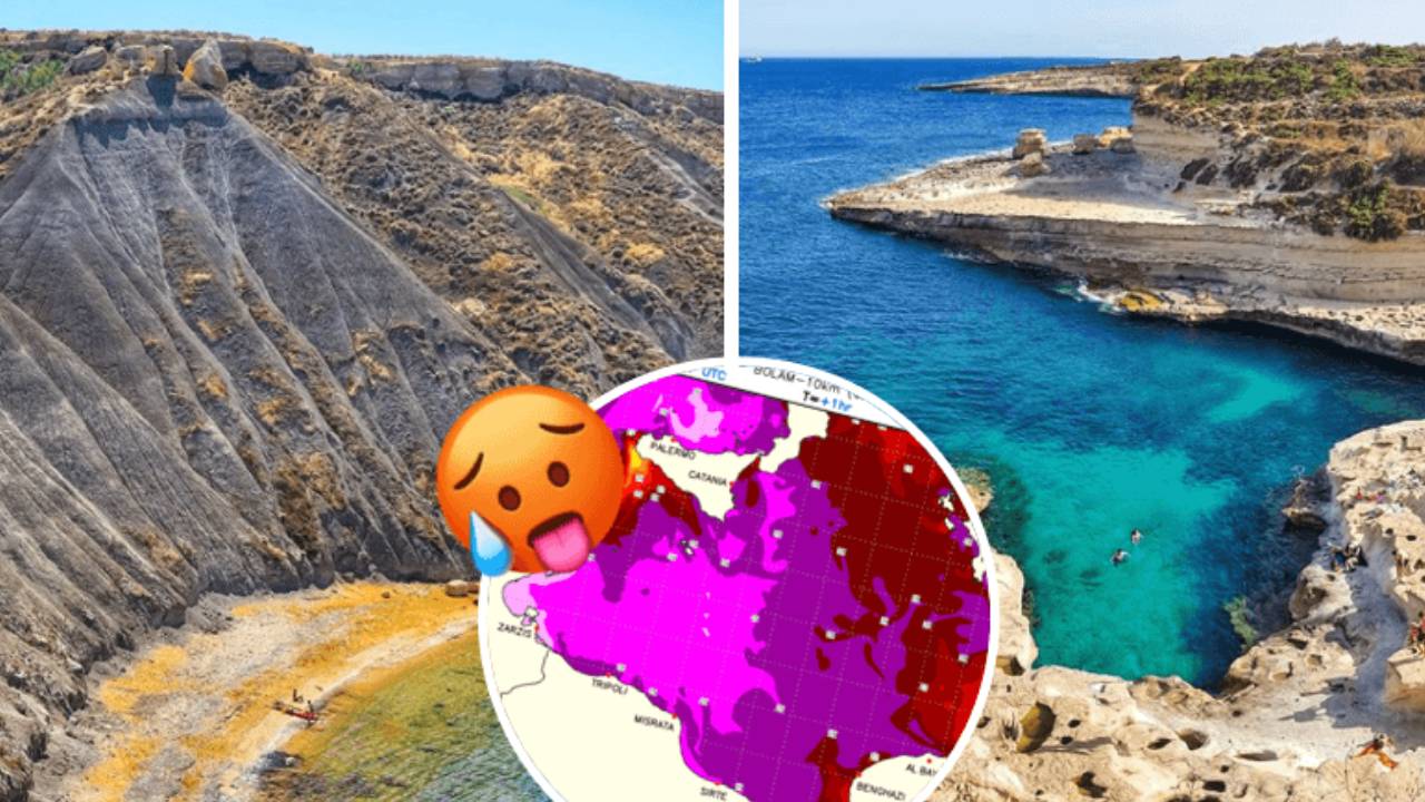 Ecosystems under threat as Mediterranean Sea experiences marine heatwave
