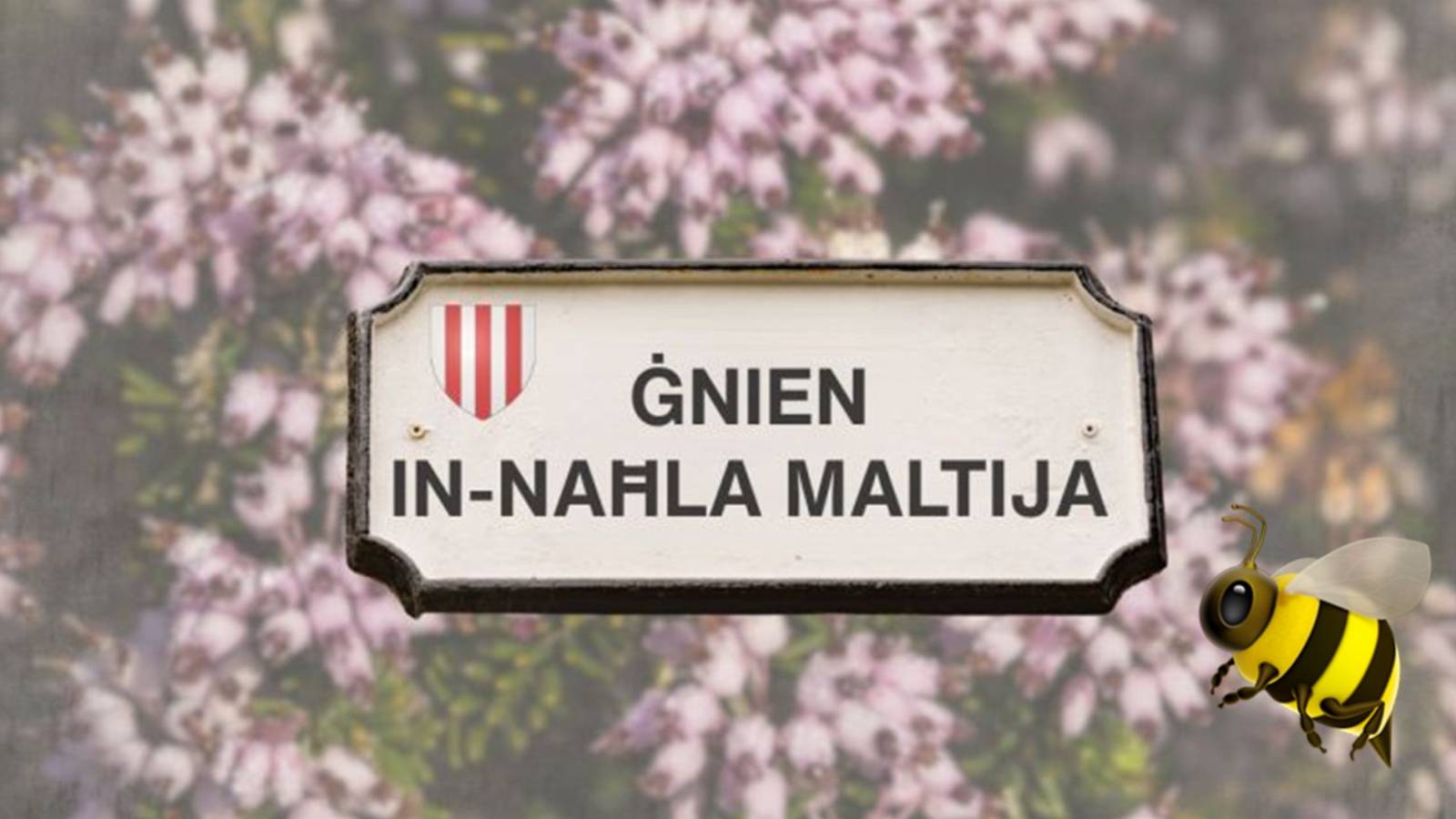 A buzzing first! Public garden in St Julian’s named after the Maltese ...