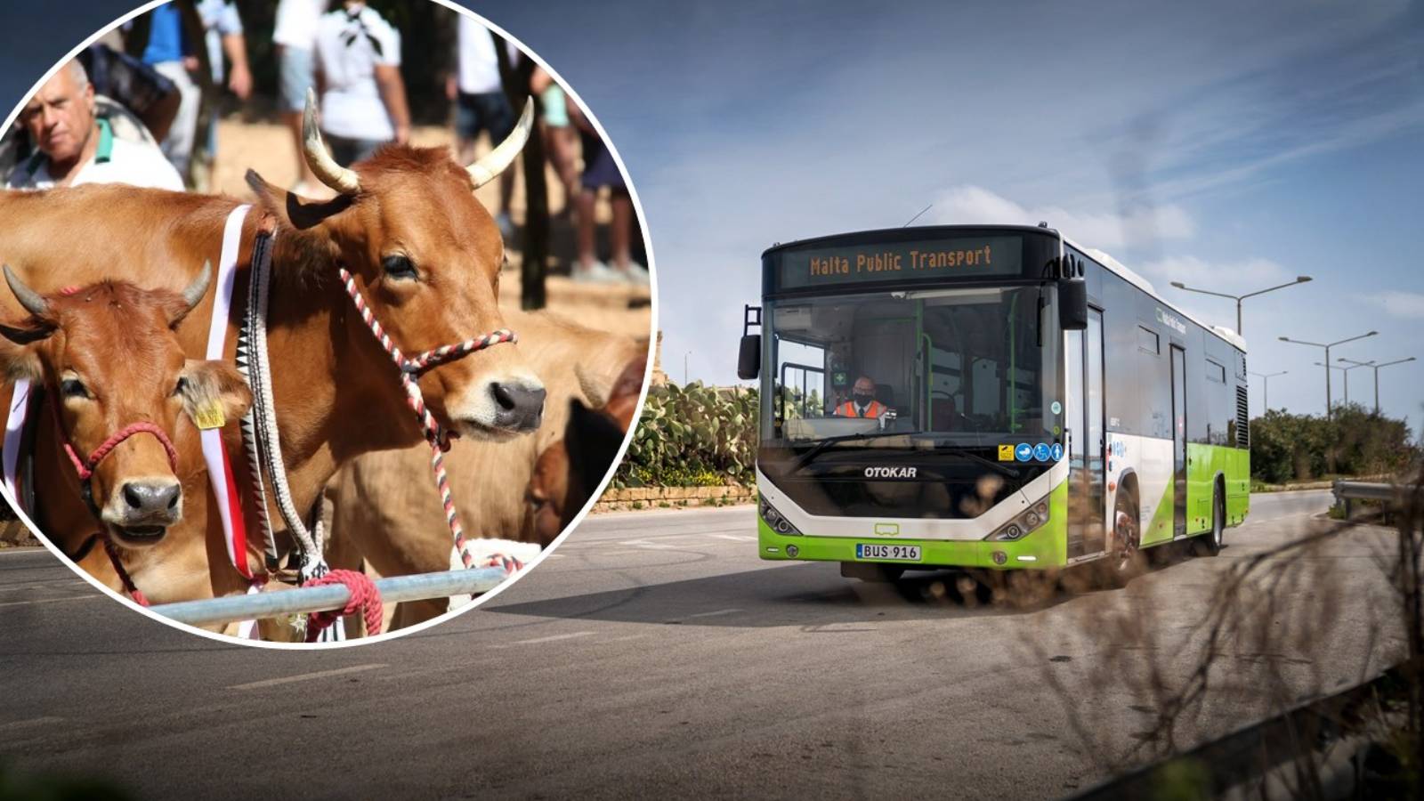 Hop on! Malta Public Transport announces special bus service for ...