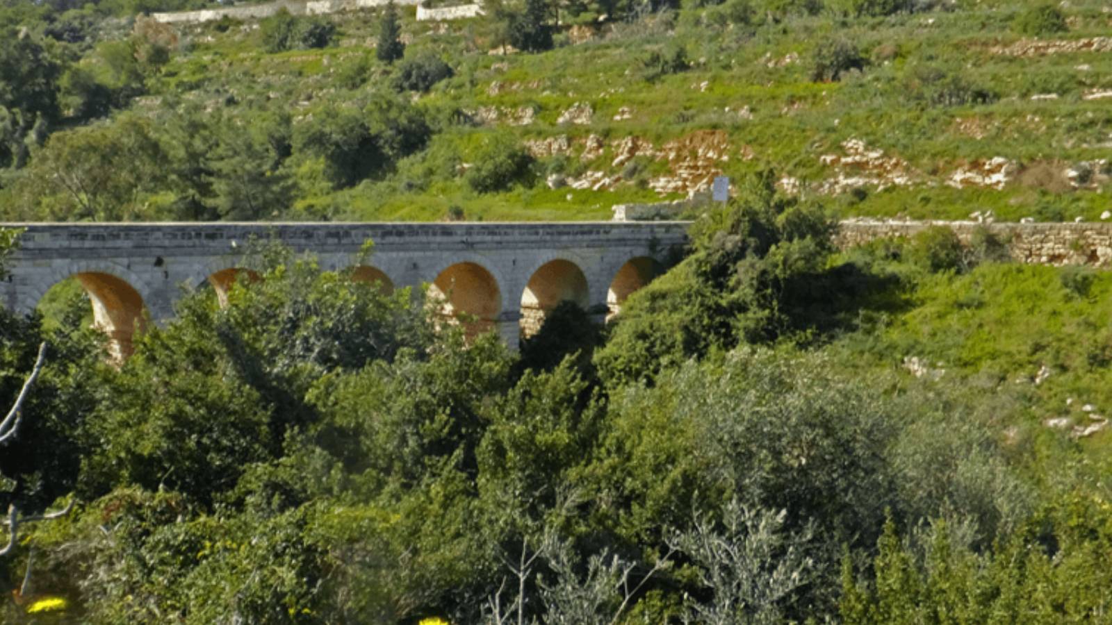 Looking to buy a slice of Maltese countryside heaven? Large tract of ...
