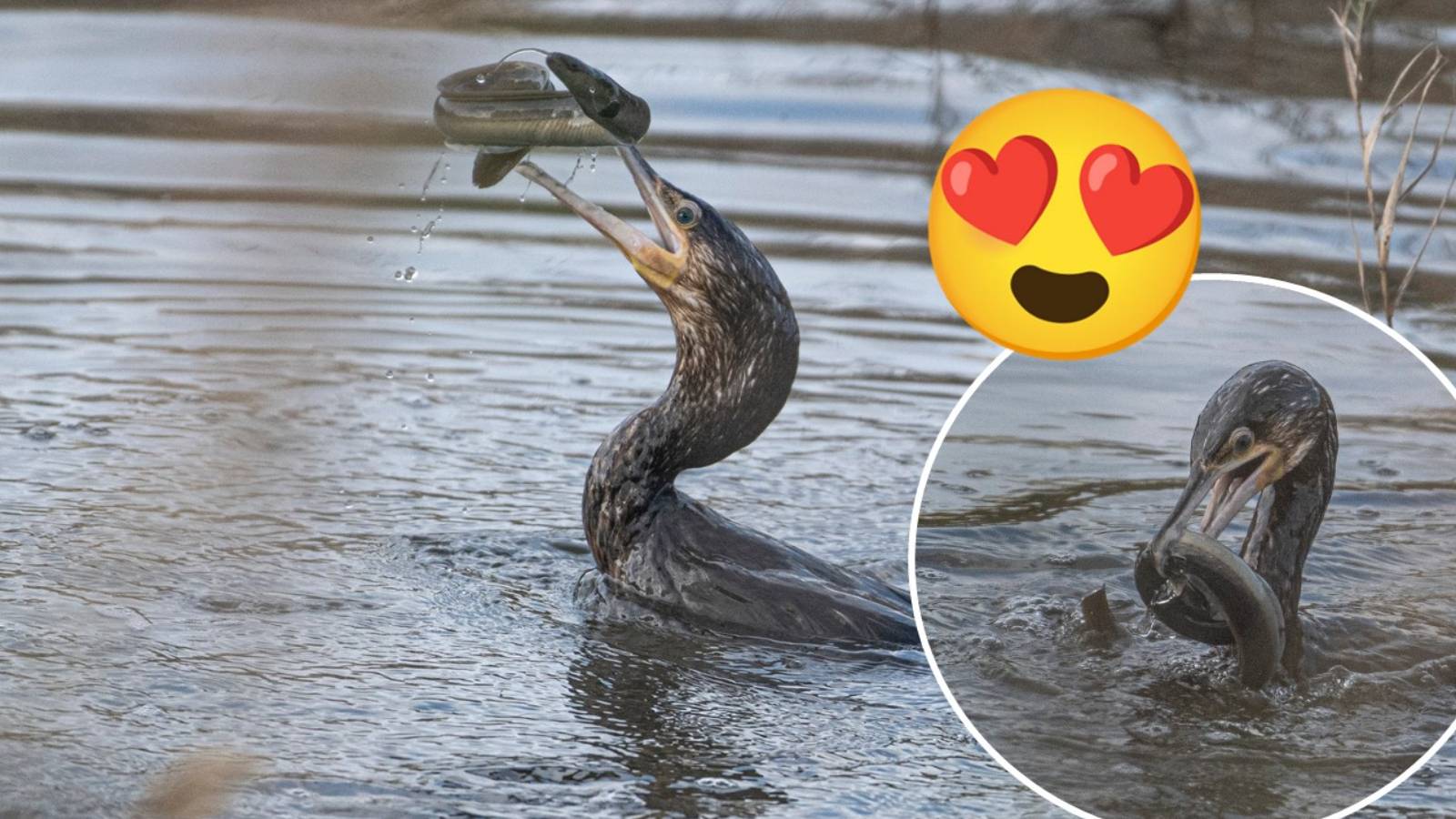 What a shot! Stunning photo by Maltese photographer captures the ...