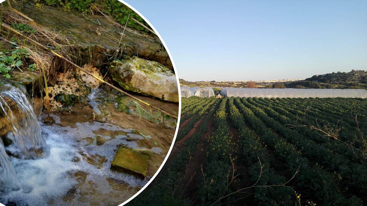 Uh oh! Large farm taking over secluded Bidnija valley despite ERA warnings