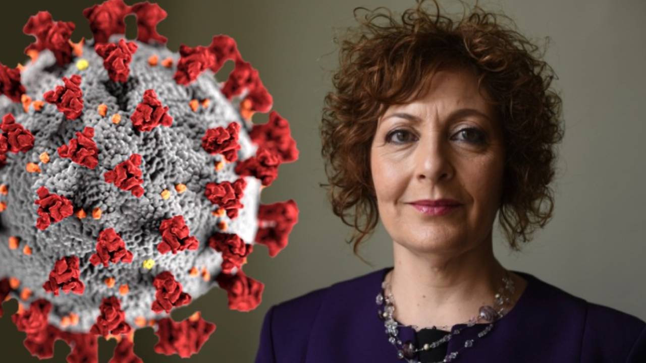 WATCH LIVE: Saturday 16th May - Prof. Gauci to address a press ...