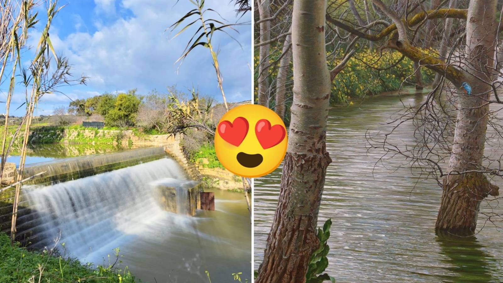 Nature revived! Chadwick Lakes restoration is now complete in one of ...