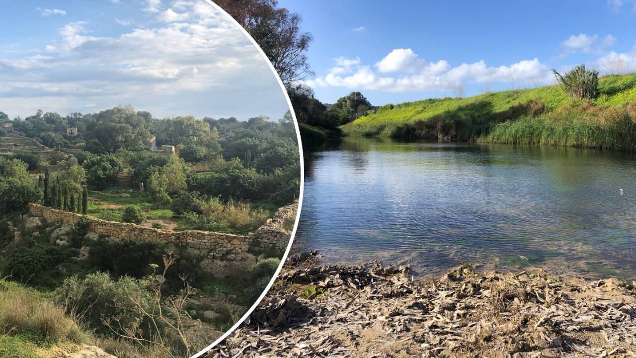 Get involved in these public consultation events about rehabilitation ...