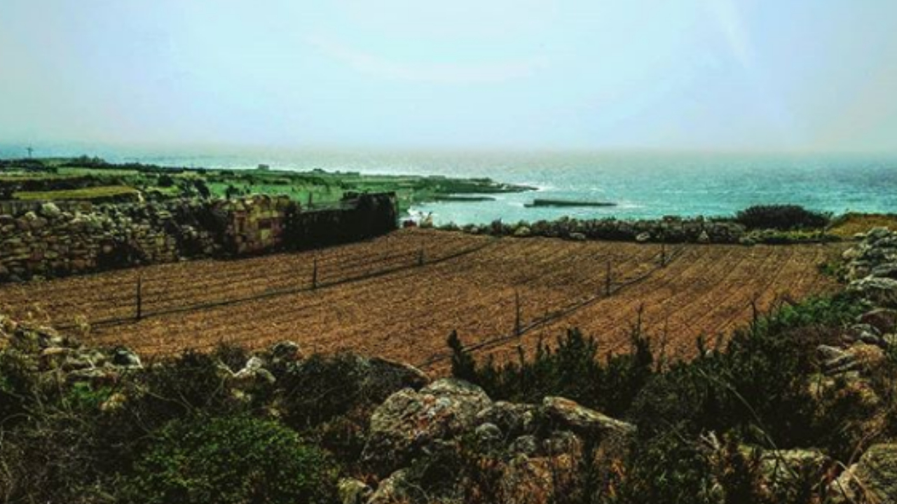 The freak rain fall early today in Malta brought about this all-too ...