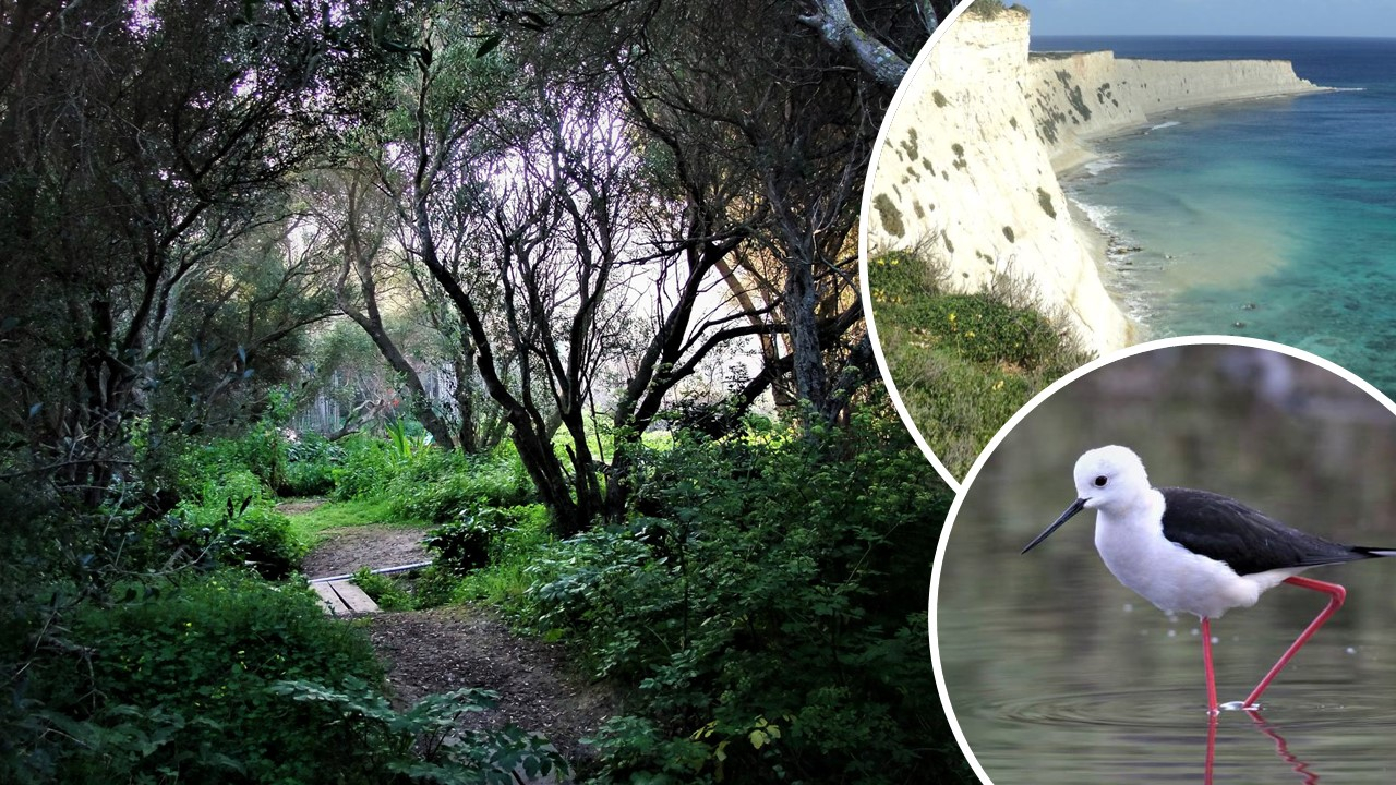 Breathtaking scenery! Head to the great outdoors at Malta's 4 best ...