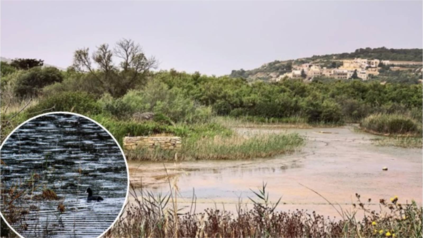 A new look! Big changes underway at Simar Nature Reserve in Xemxija