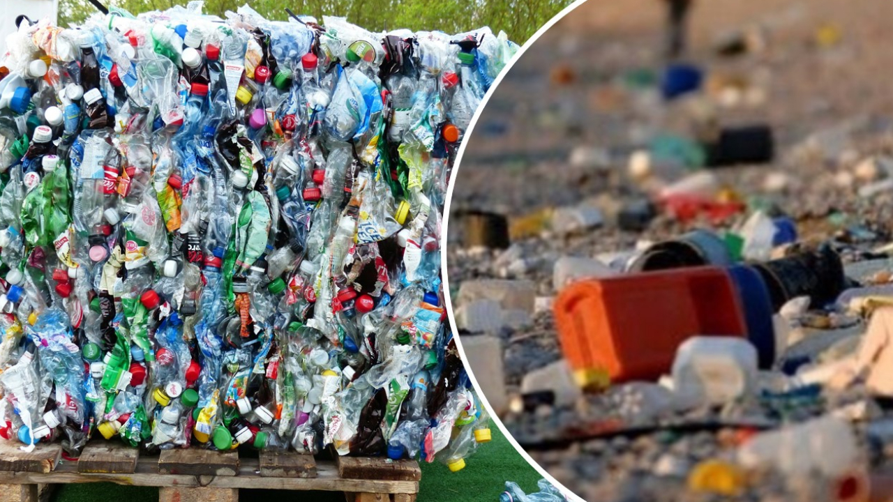Calling enviro activists! This local club has just launched the Fight ...