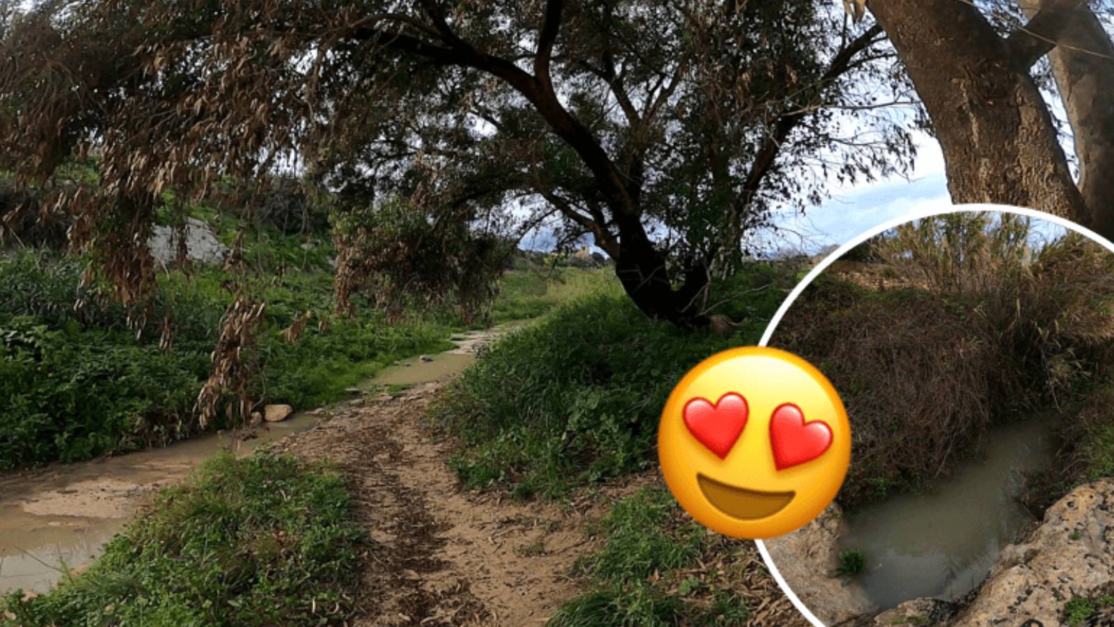 WATCH: Explore the stunning Wied Hesri in full winter bloom
