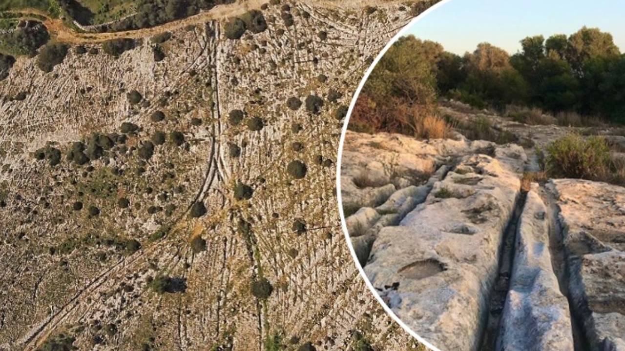Stranger things: Could Malta's so-called ‘cart ruts’ not be cart ruts ...