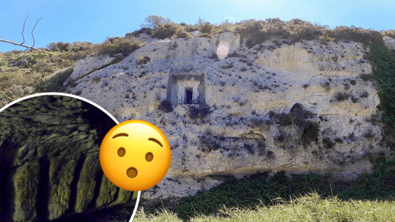 WATCH: Explore Qormi’s Qirda Valley, home to some of Malta’s biggest ...