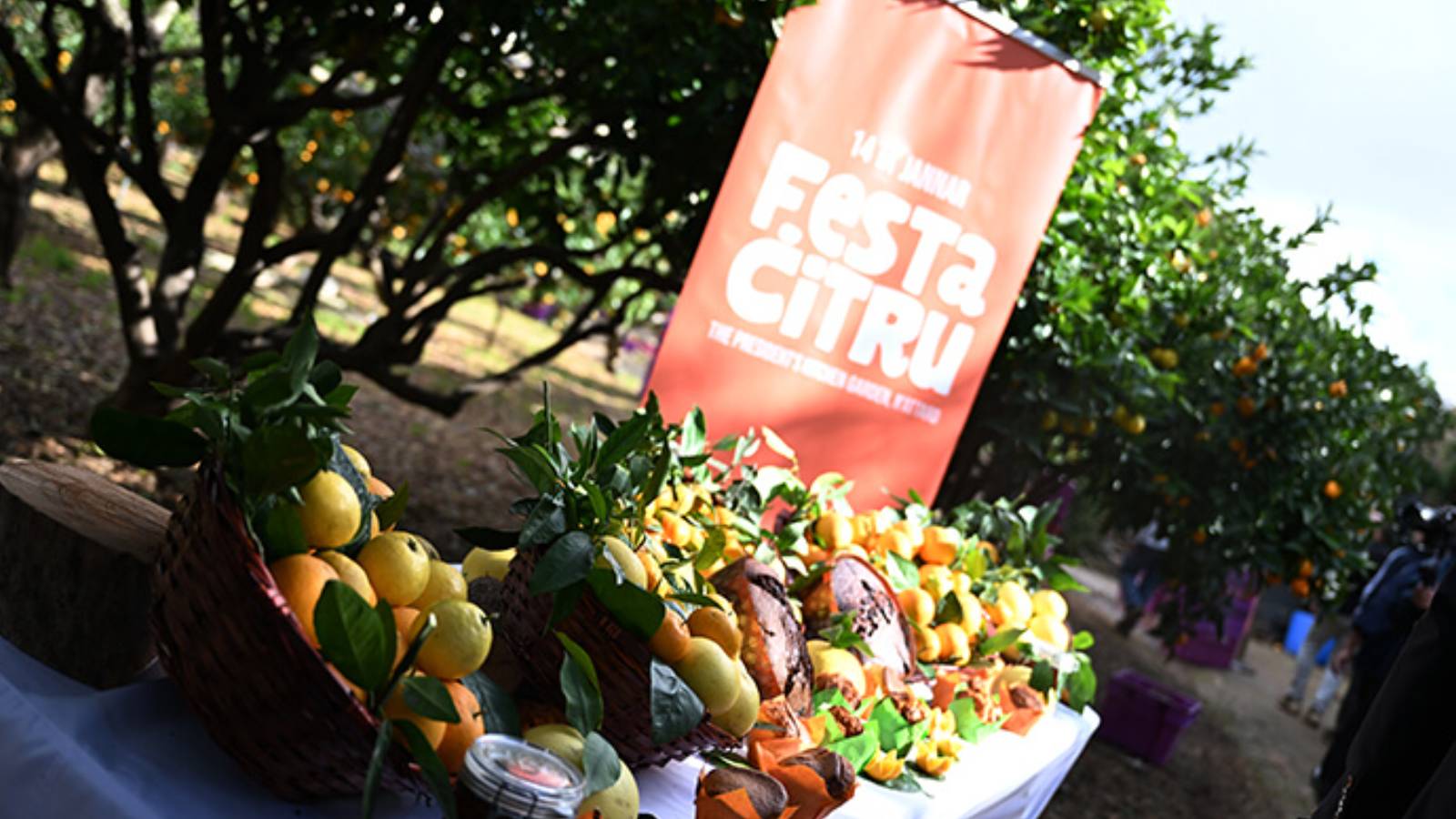 Feeling zesty? Festa Ċitru 2024 being held next Sunday at The President ...