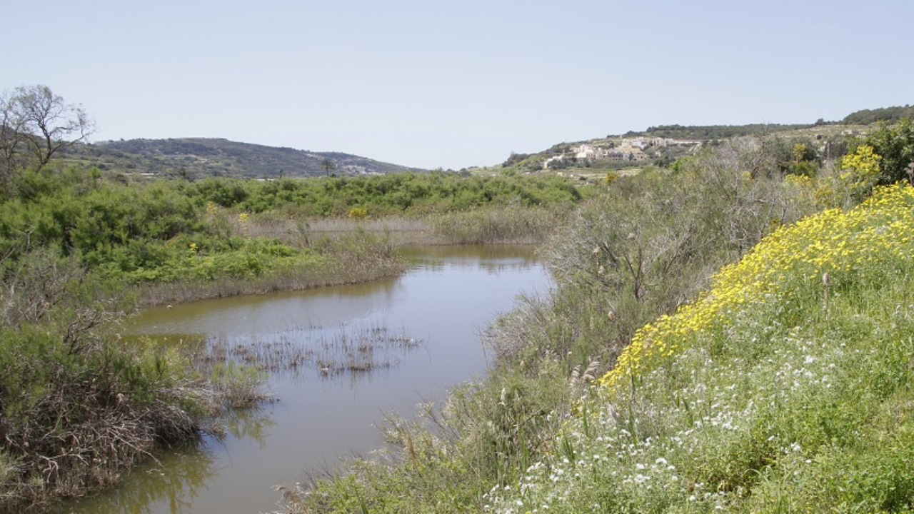 A reclaimed natural haven: Xemxija's Simar Nature Reserve offers ...