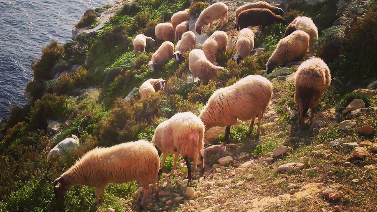 What to do in the village: Munxar, Gozo