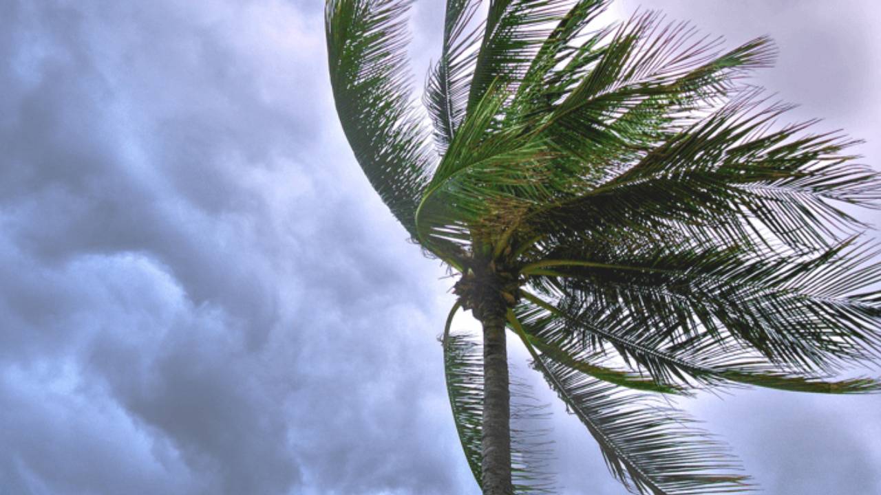 Take care! STRONG winds set to persist all throughout the day