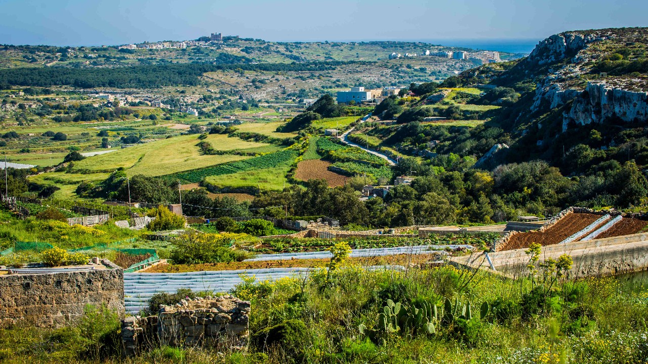 Local adventure groups reveal Malta’s best walking routes