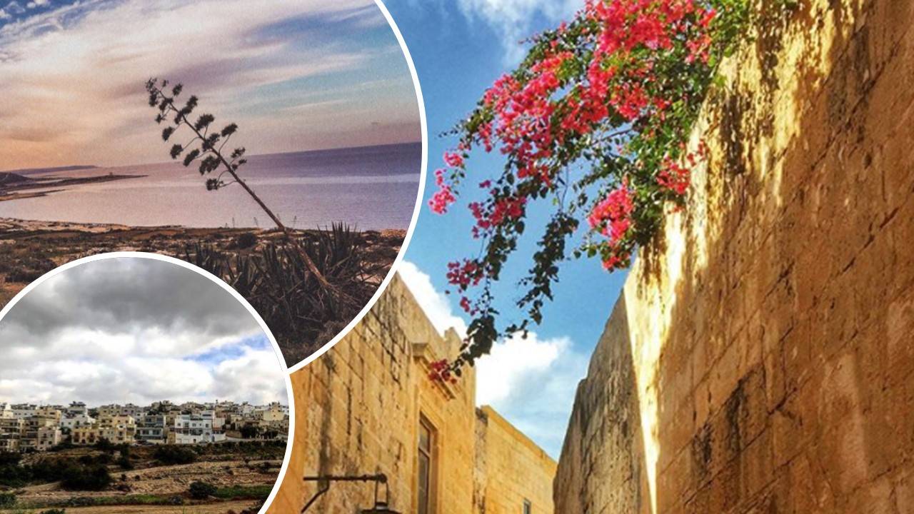 Your questions answered! Why has it been such a warm & dry winter in Malta?
