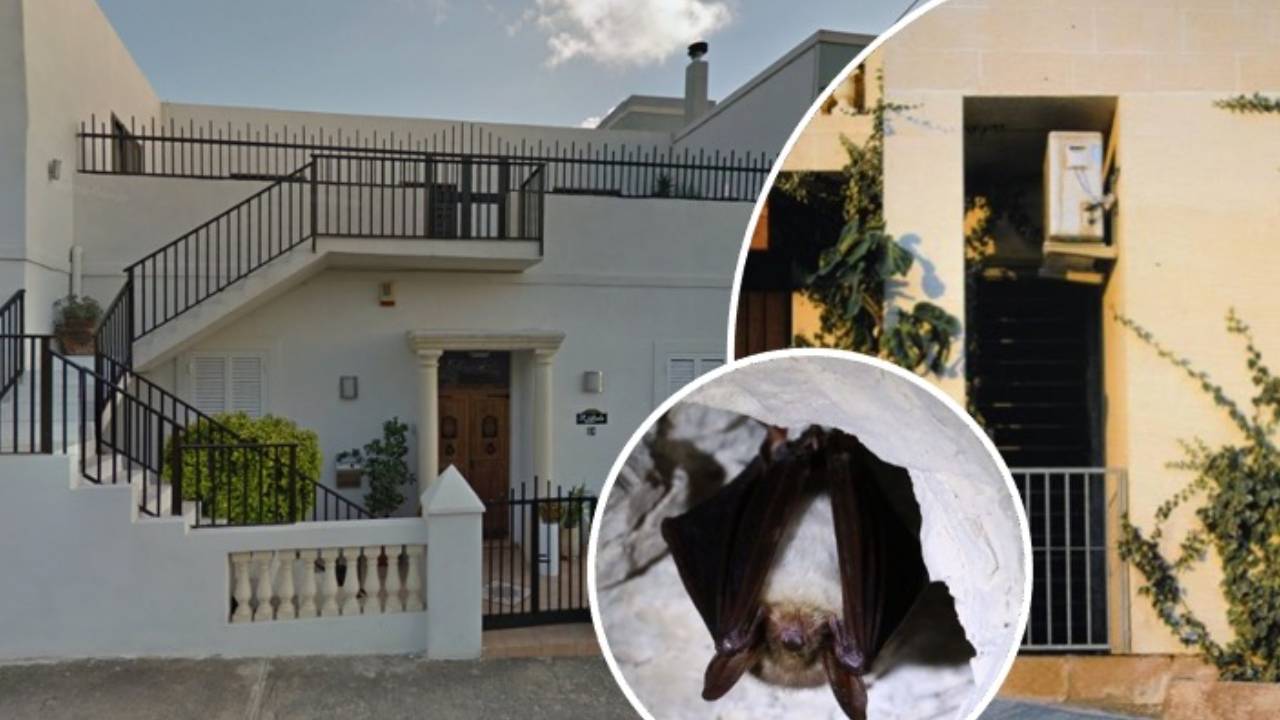 Apartment block proposal threatens damage to Birzebbugia’s Ghar il ...