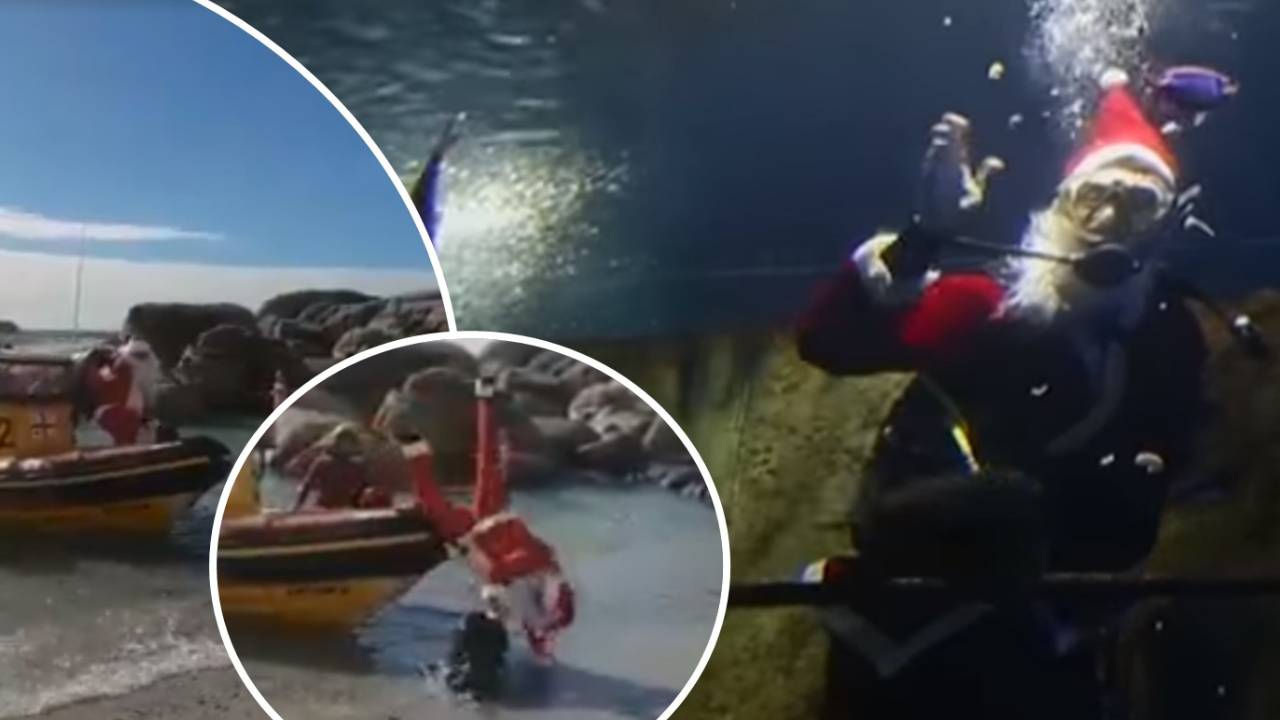 These local Santa Clause appearances will turn your frown upside down today