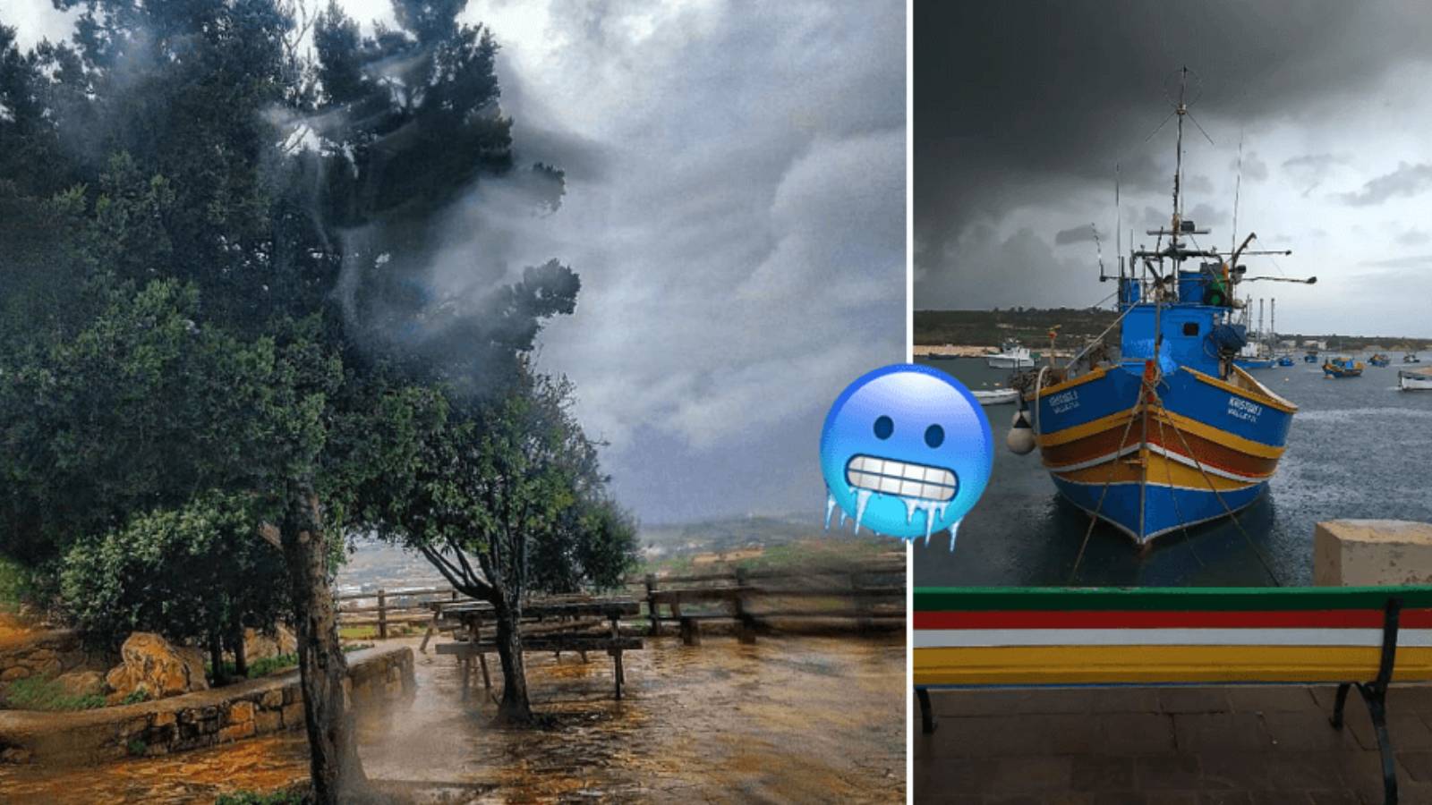 What does typical February weather look like in Malta & Gozo?