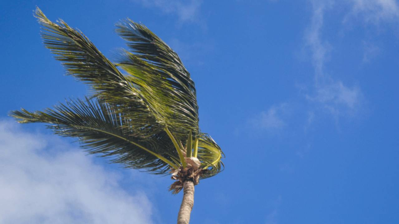 Brace yourselves! Force SEVEN winds forecast for this Friday