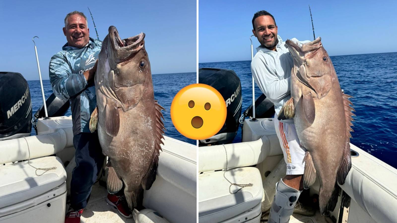 What a whopper! Maltese fishermen reel in massive grouper off local waters