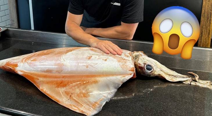 Impressive catch! Local fish shop in Mosta presents whopping 13kg squid ...