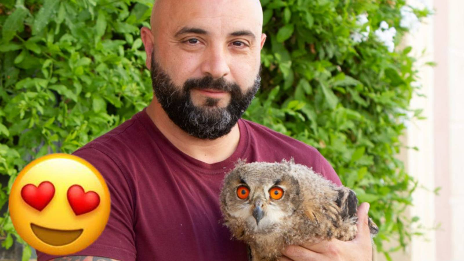 Meet Jason: A passionate advocate for birds of prey and their ...