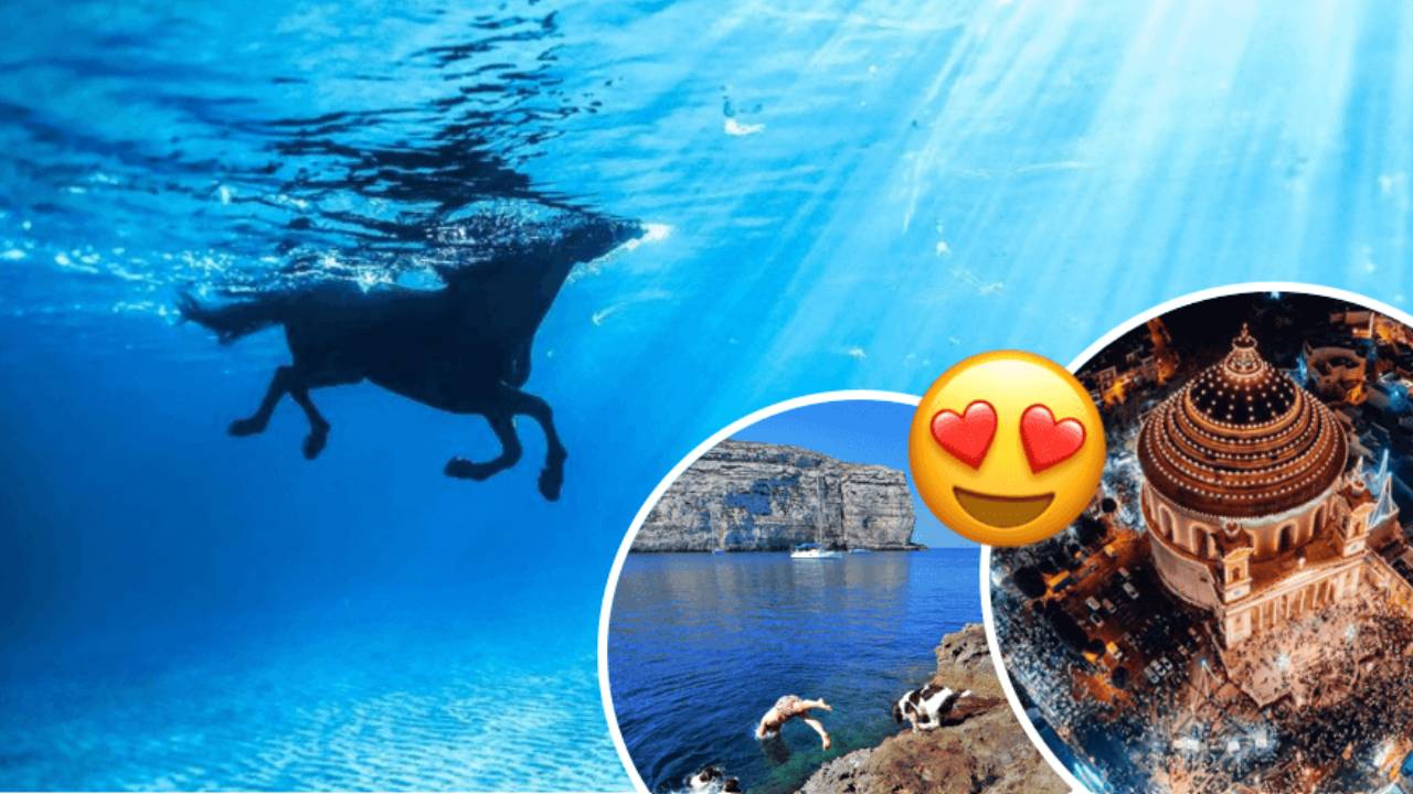 Here are TEN Maltese photographers showing off the island’s best
