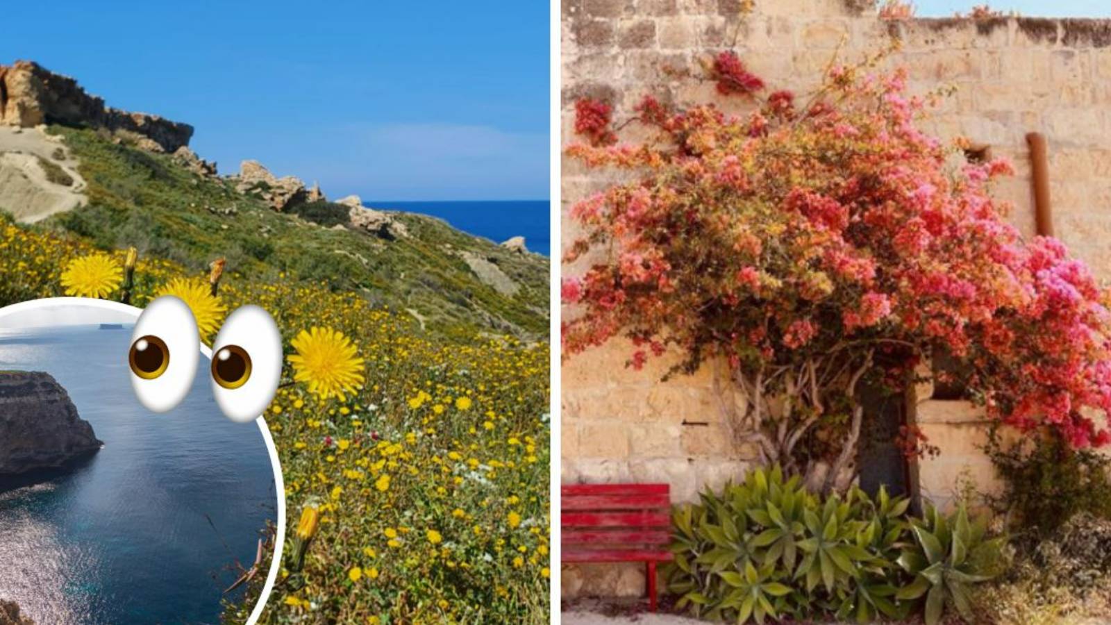 Hello March! Did you know that meteorological spring starts today?