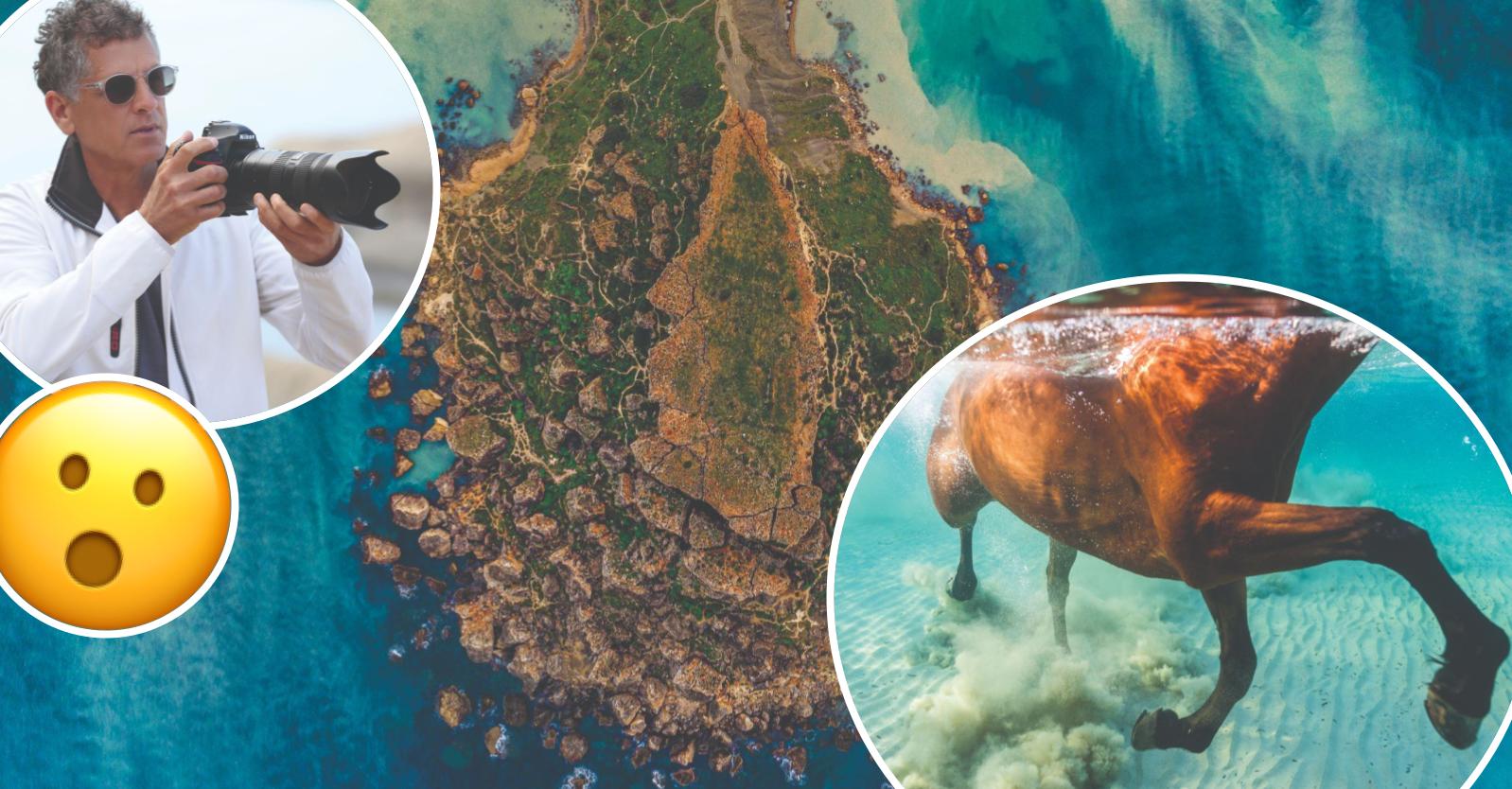 From coast to coast: This is the story of internationally renowned ...