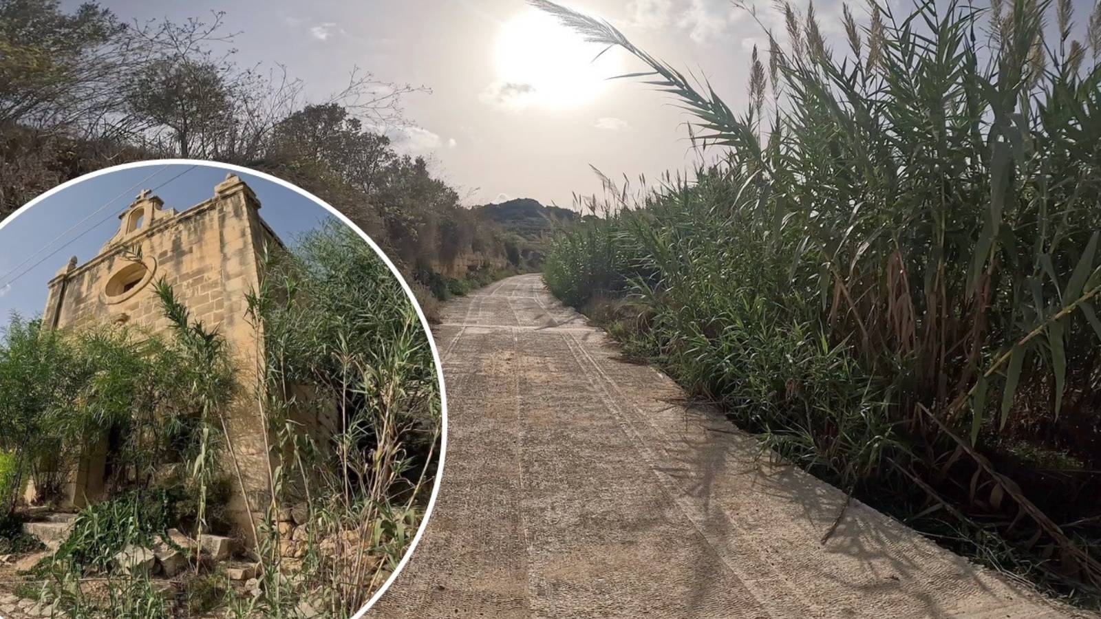 Discovering Qannotta Valley! Pierre Farrugia explores Bidnija’s hidden ...