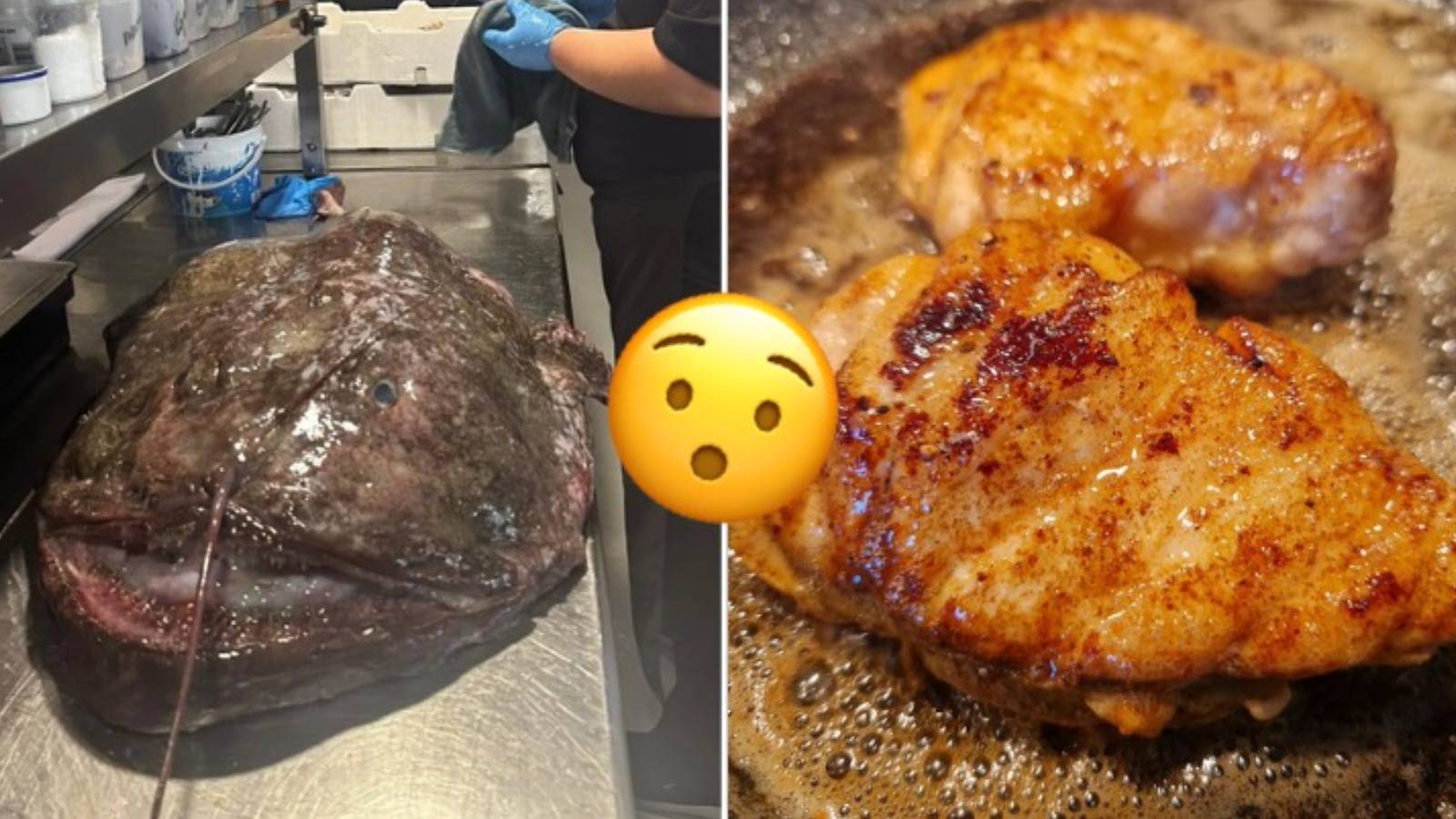 Amazing catch! Maltese fisherman haul in a giant 26kg monkfish