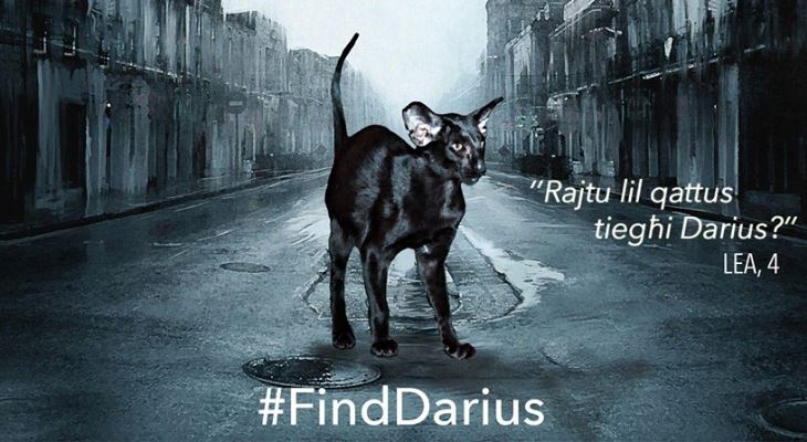 Have you seen Darius? Facebook page launched to find cat lost in Tarxien