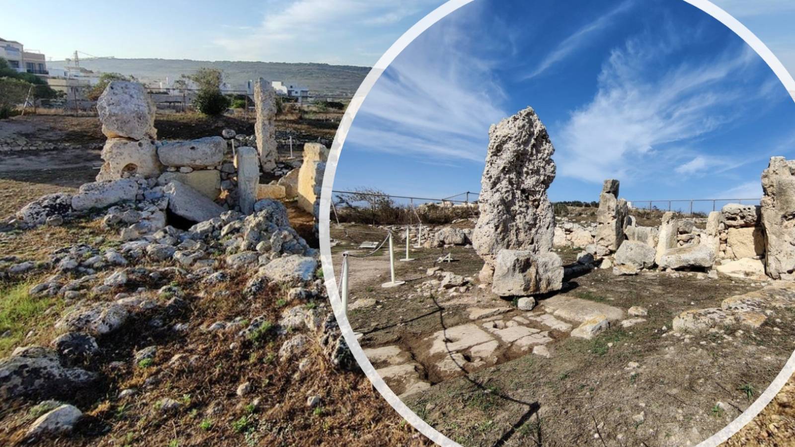 A unique curator’s tour! Experience a journey through time with ...