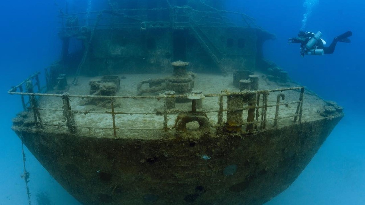 Underwater wonders: Um el Faroud wreck