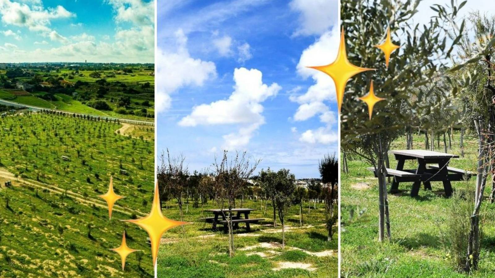 17,000 square metres of green space opens up to the public at ...