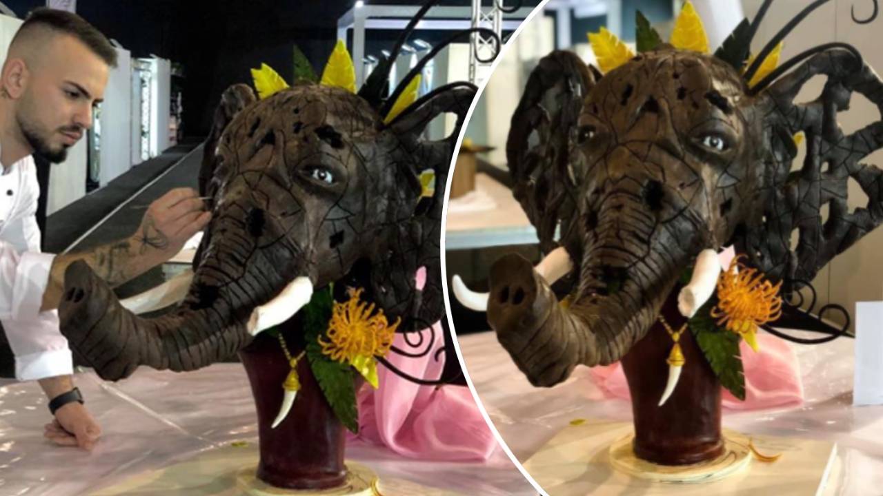 Maltese chef raises animal cruelty awareness through stunning elephant ...