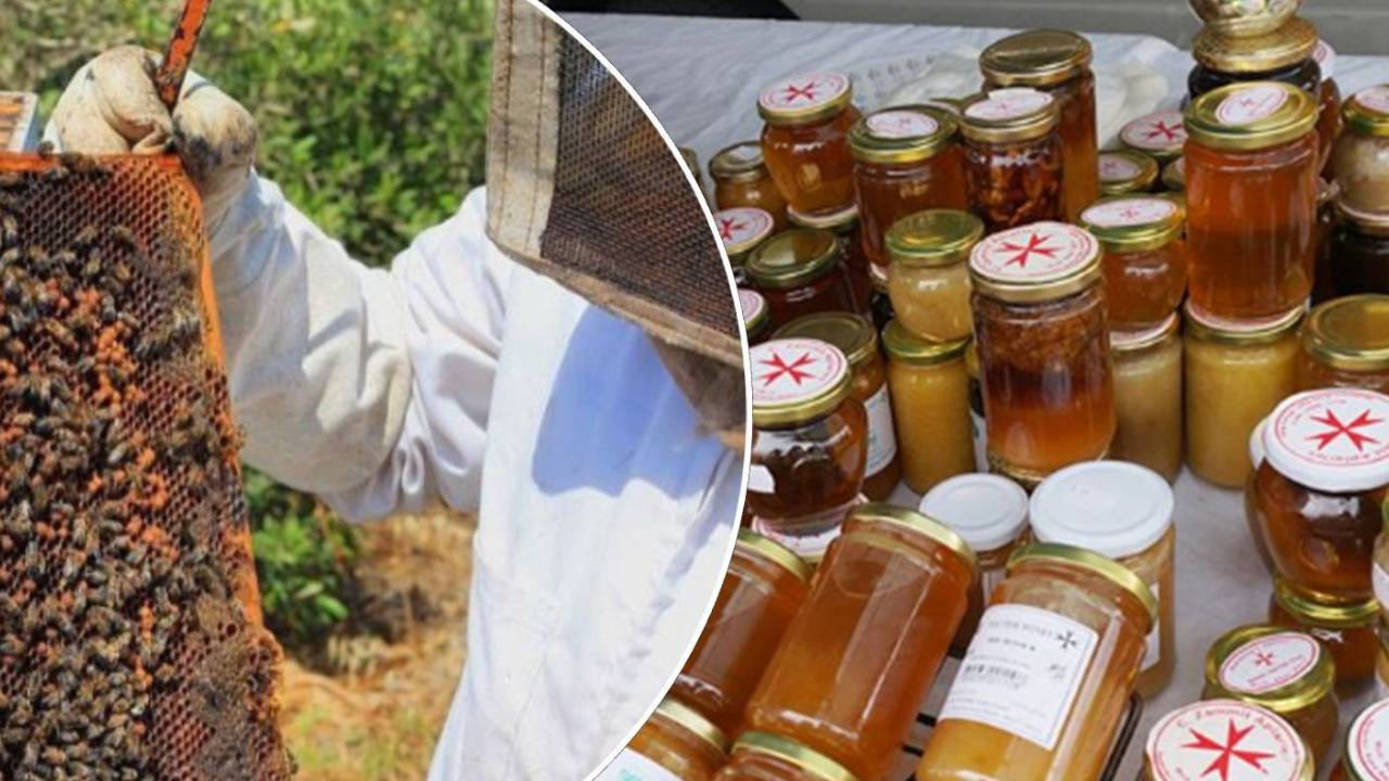 Celebrating Malta’s honey bee & its delicious liquid gold on ...