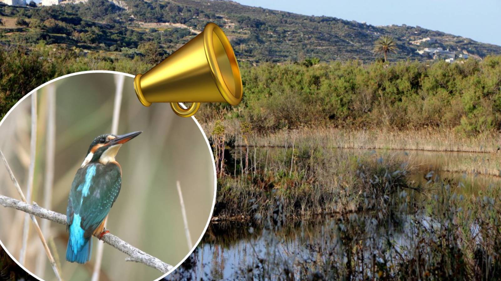 Nature awaits! Simar Nature Reserve in Xemxija reopens to the public ...