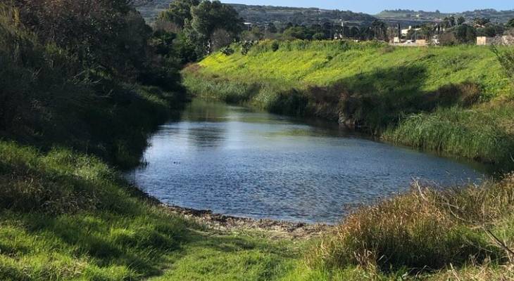 Get involved in these public consultation events about rehabilitation ...