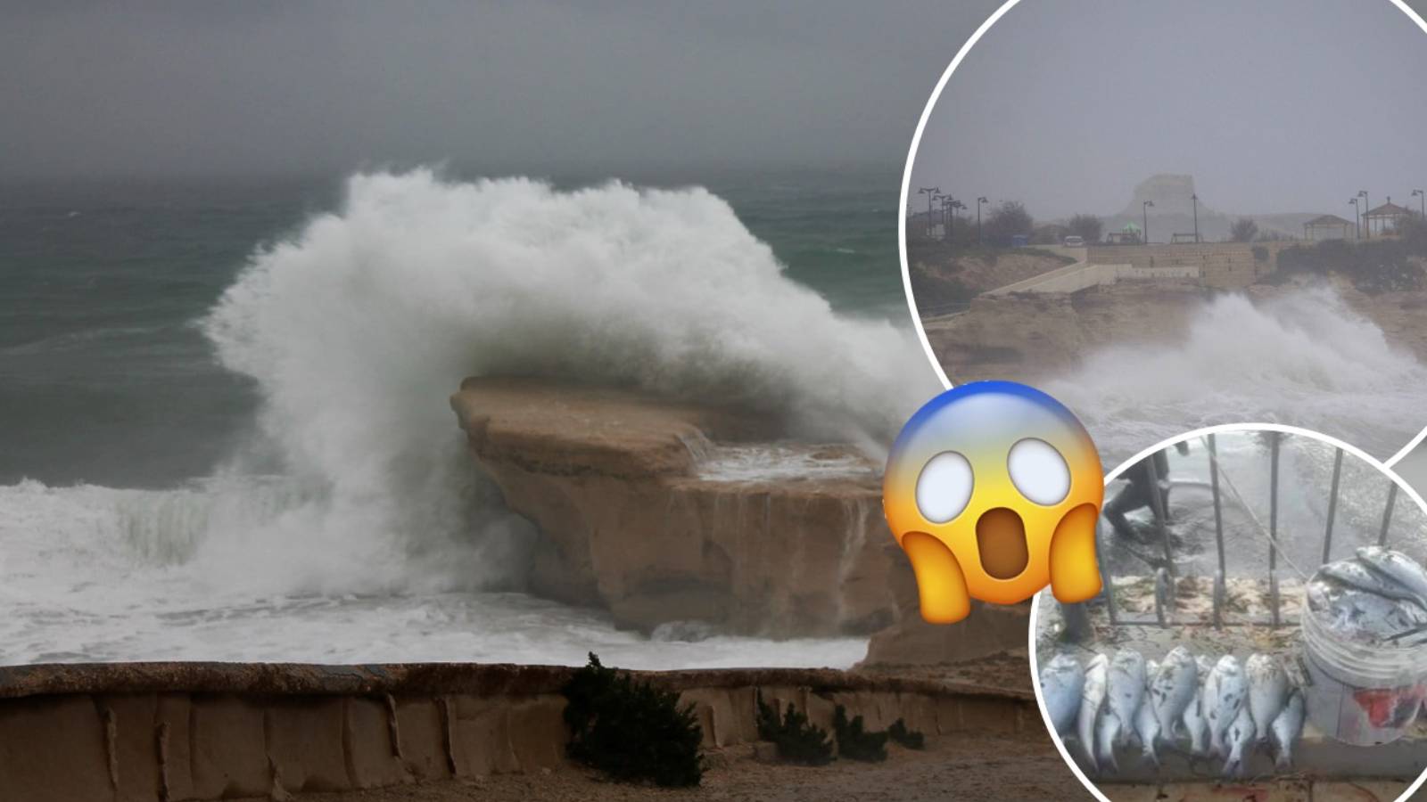 Storm of the decade! Remembering Malta's devastating force 10 cyclone ...