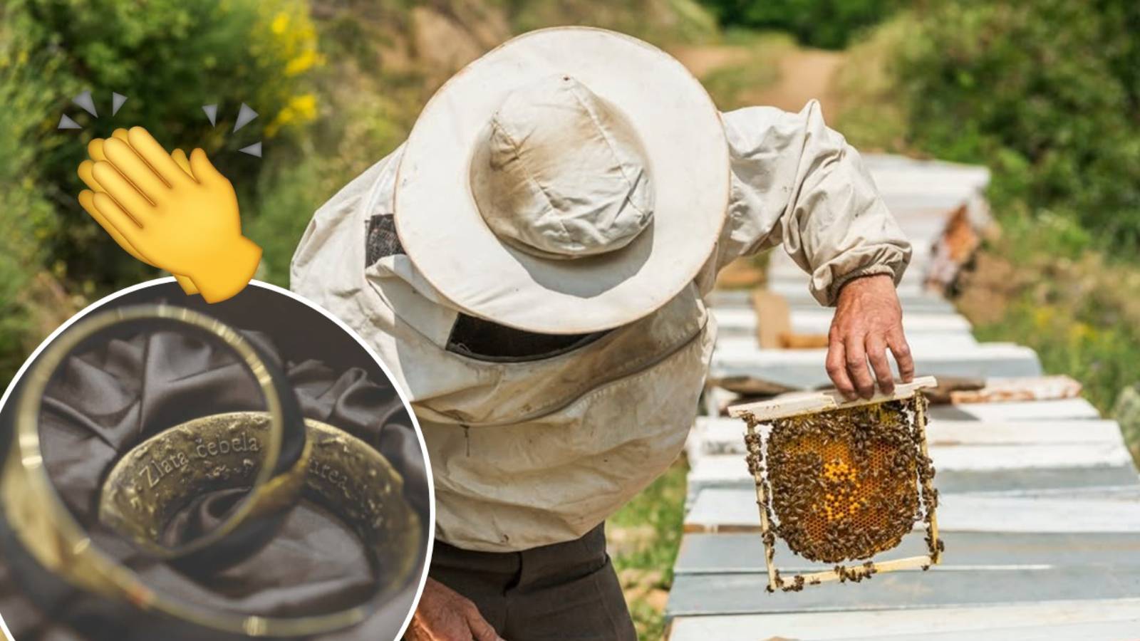 Buzzing with pride! Malta’s Honey Bee initiative earns spot among ...