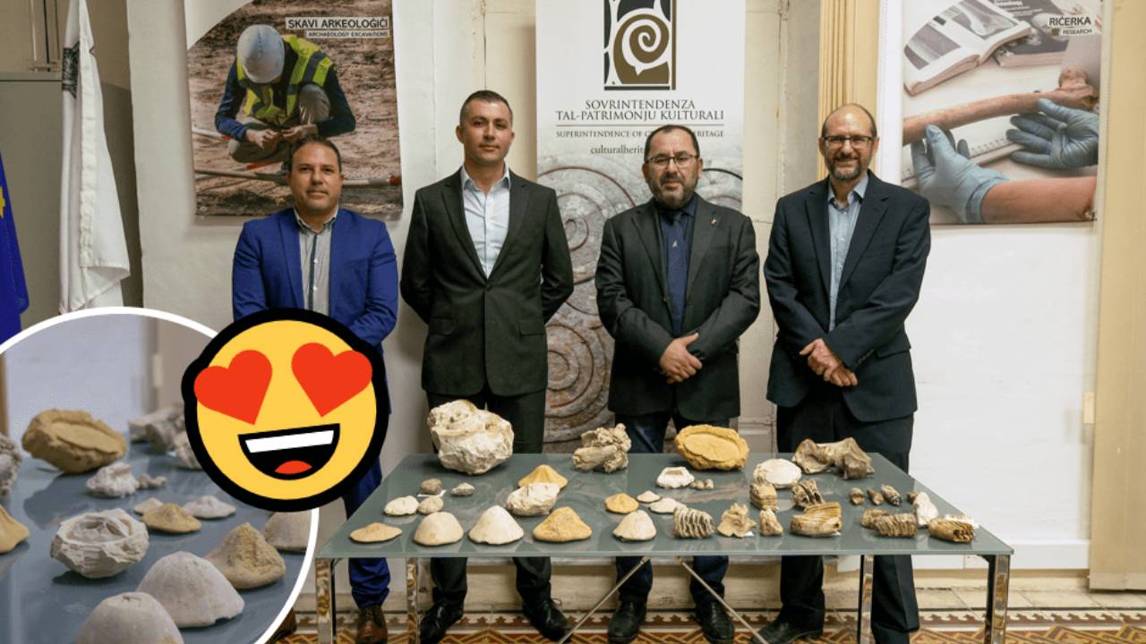 Blast from the past! Step back into the Ice Age with Heritage Malta’s ...